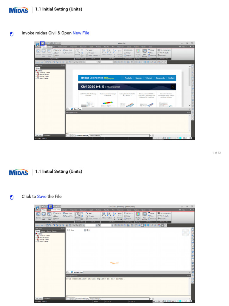 1.1 Initial Setting (Units) | PDF