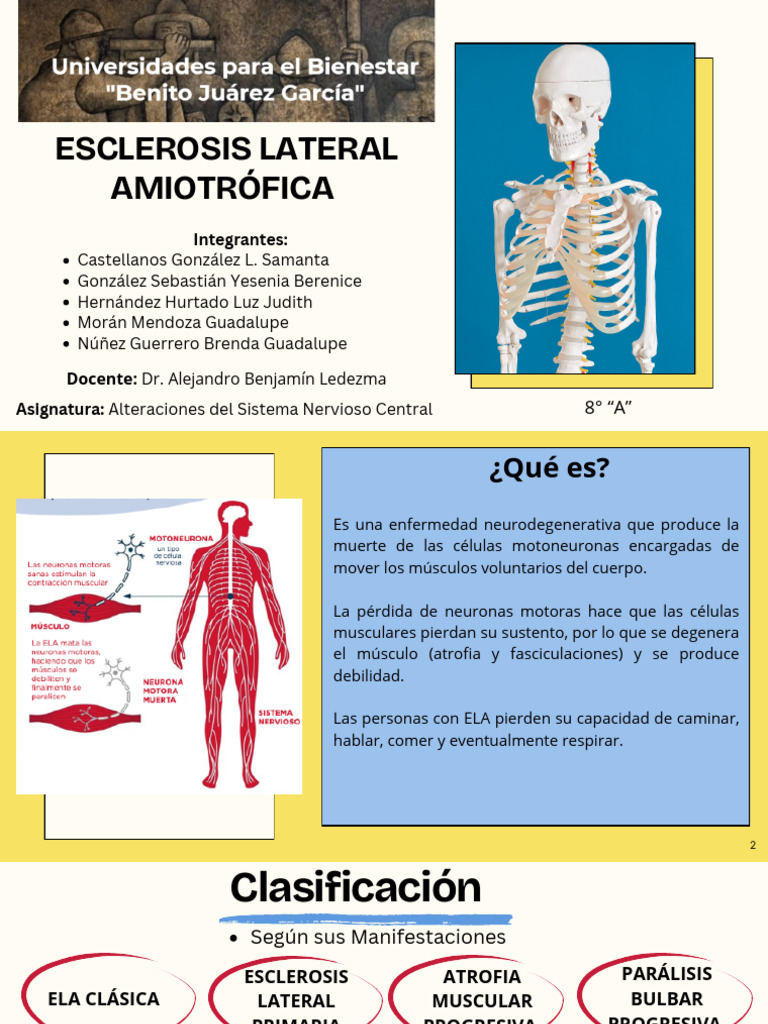 Esclerosis Lateral Amiotrófica | PDF | Especialidades Medicas | Sistema ...