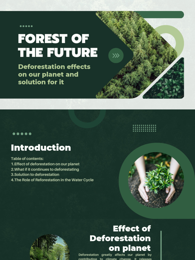 Deforestation Effects On Our Planet and Solution For It - 20250309 - 110657 - 0000 | PDF