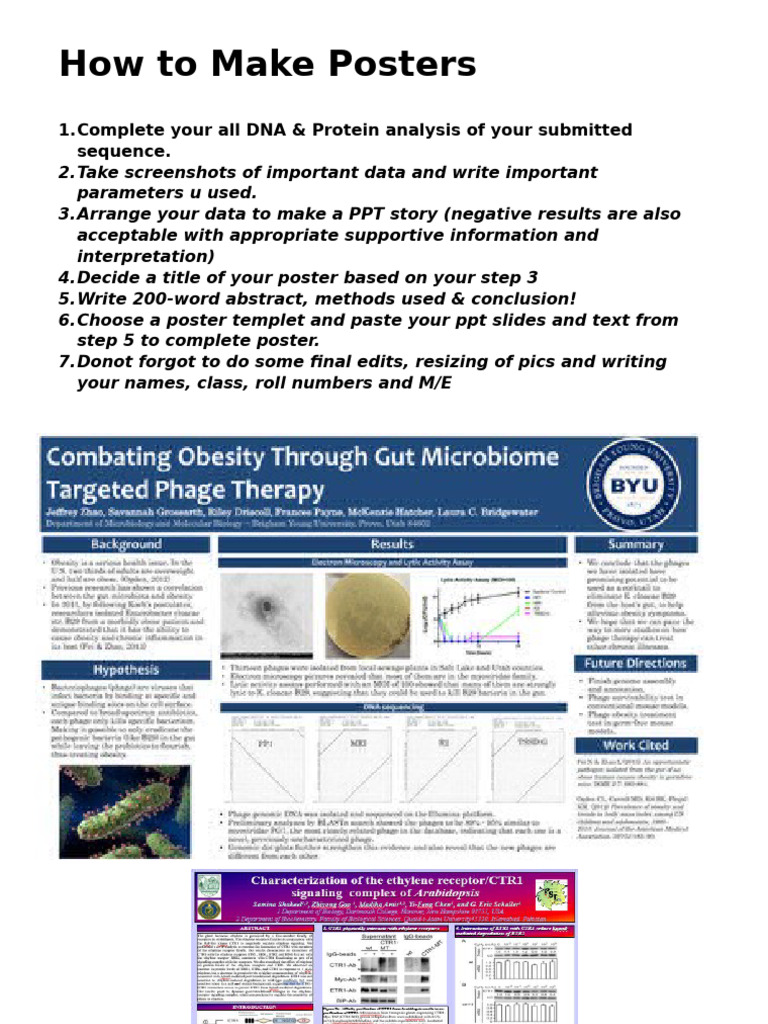 Sample Posters | PDF