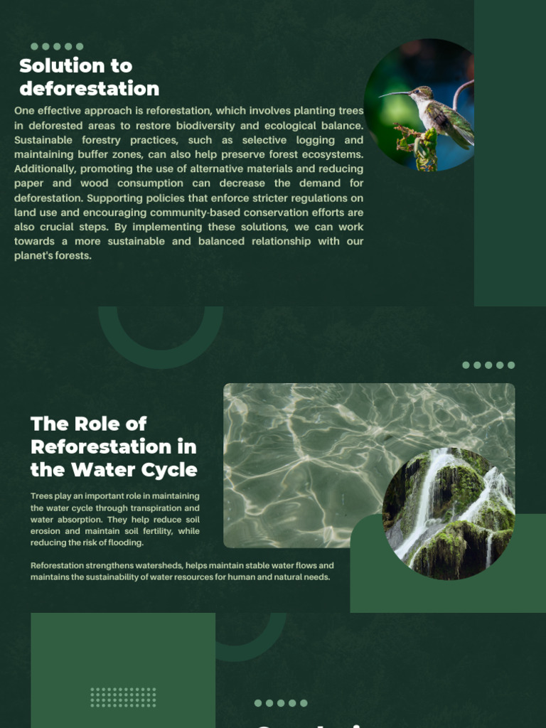 Solution To Deforestation | PDF