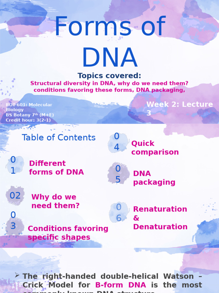 Forms and Conditions of DNA Structures | PDF | Nucleic Acid Double ...