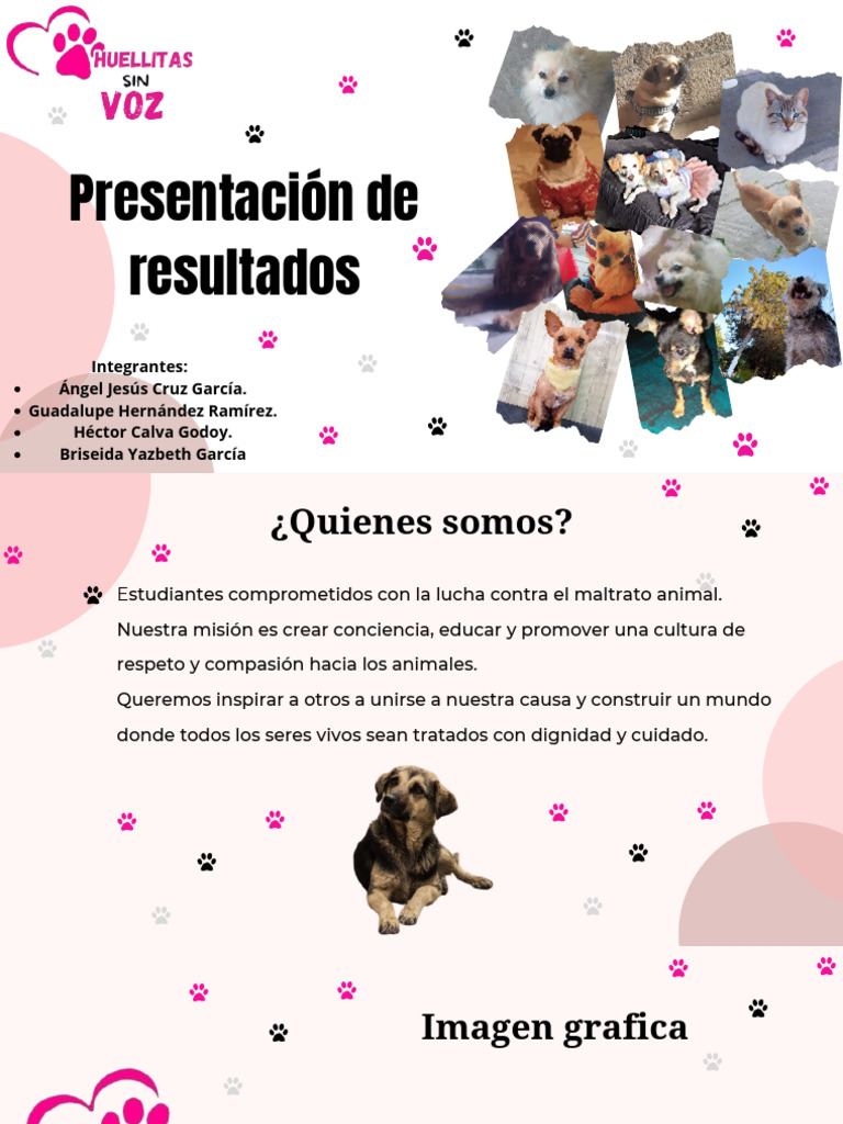 Presentación Mi Proyecto Huellitas Sin Voz | PDF | Abuso infantil