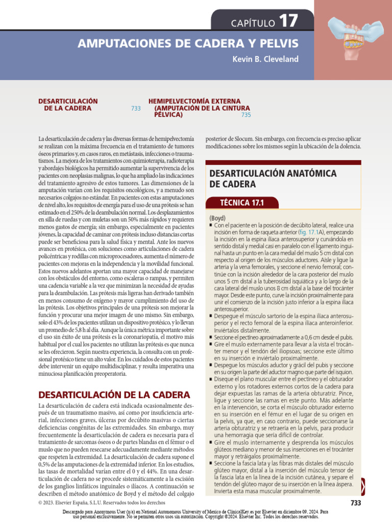 Amputaciones de Cadera y Pelvis | PDF | Pelvis | Anatomía del miembro ...
