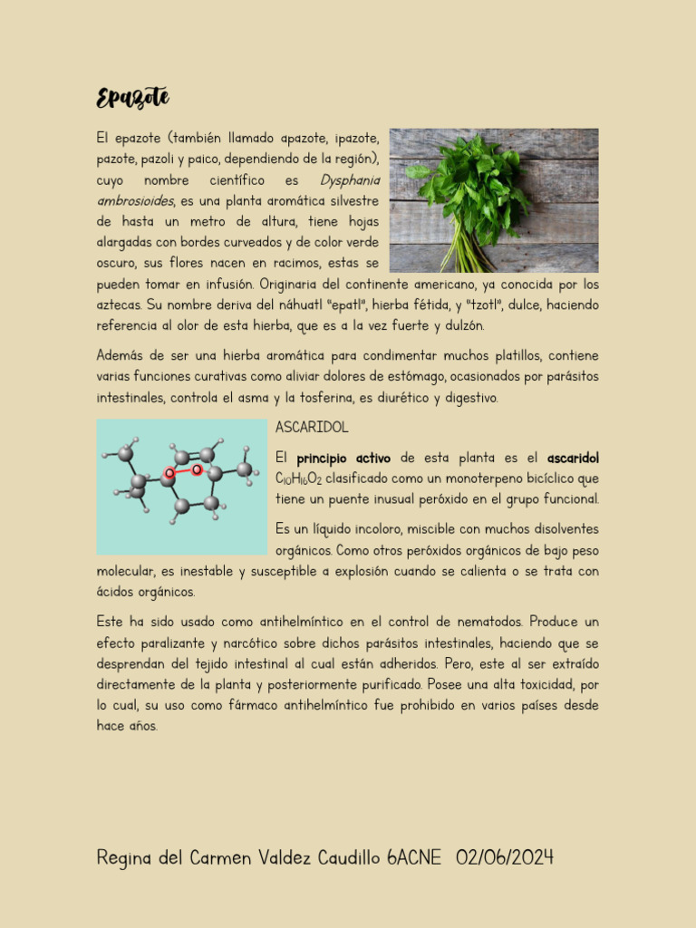 Propiedades y usos del epazote | PDF