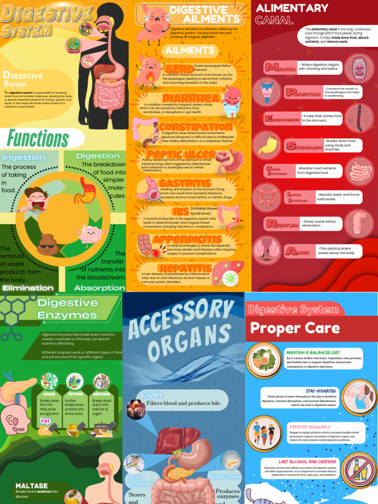 Science Brochure | PDF | Digestion | Gastrointestinal Tract