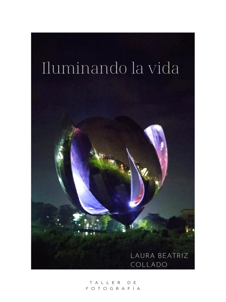 Laura Collado Proyecto Digital | PDF