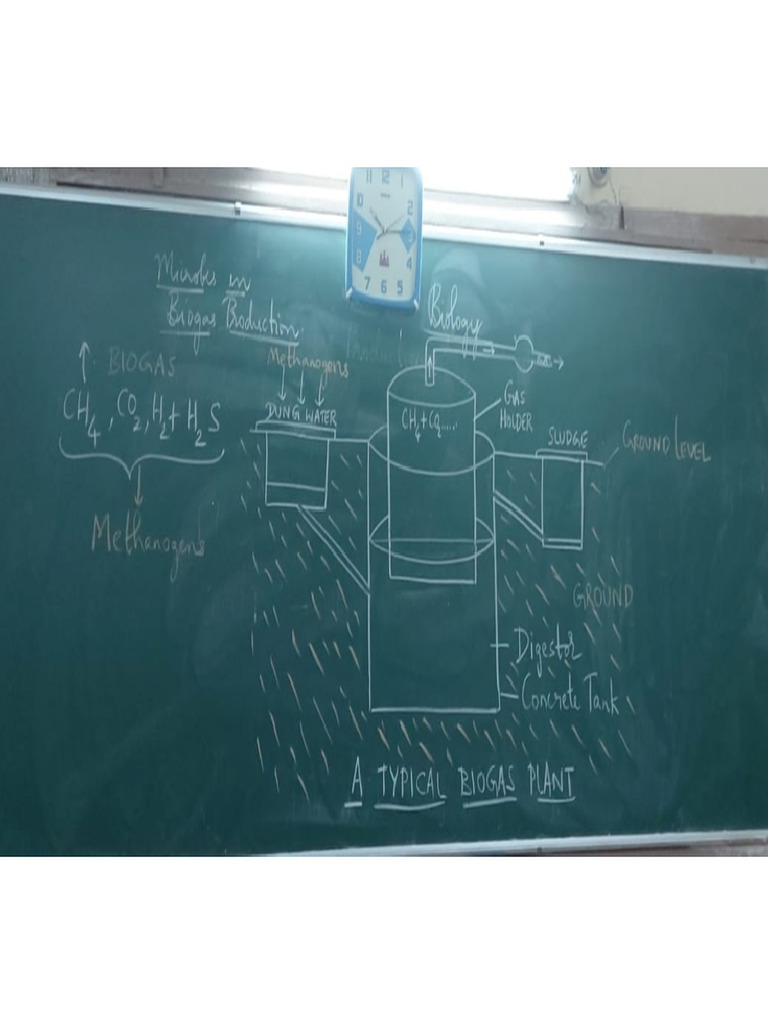 Imp Diagram - Microbes in Human Welfare Chapter | PDF