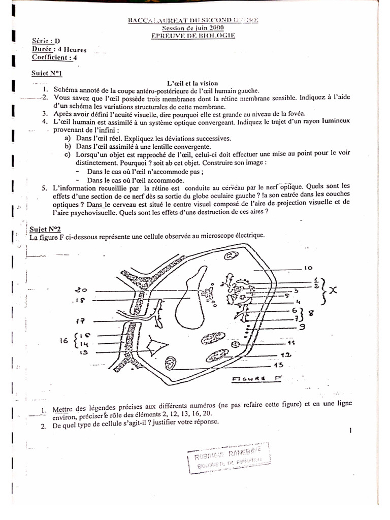 Sujet Bac Bio 2000 À 2018 Avc Corrigé-1 | PDF