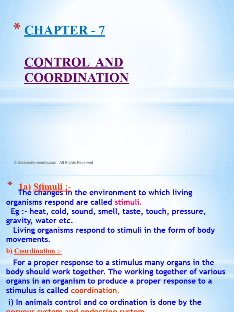 7 Control and Coordination 2.Pptx | PDF | Nervous System | Neuron