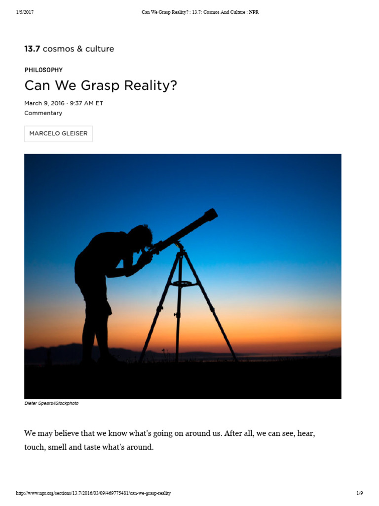 Can We Grasp Reality 13 | PDF | Senses | Higgs Boson