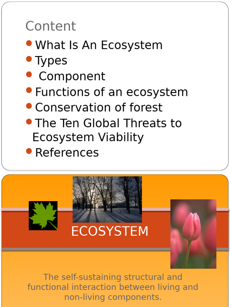 ECOSYSTEM PPT | PDF | Ecosystem | Conservation Biology
