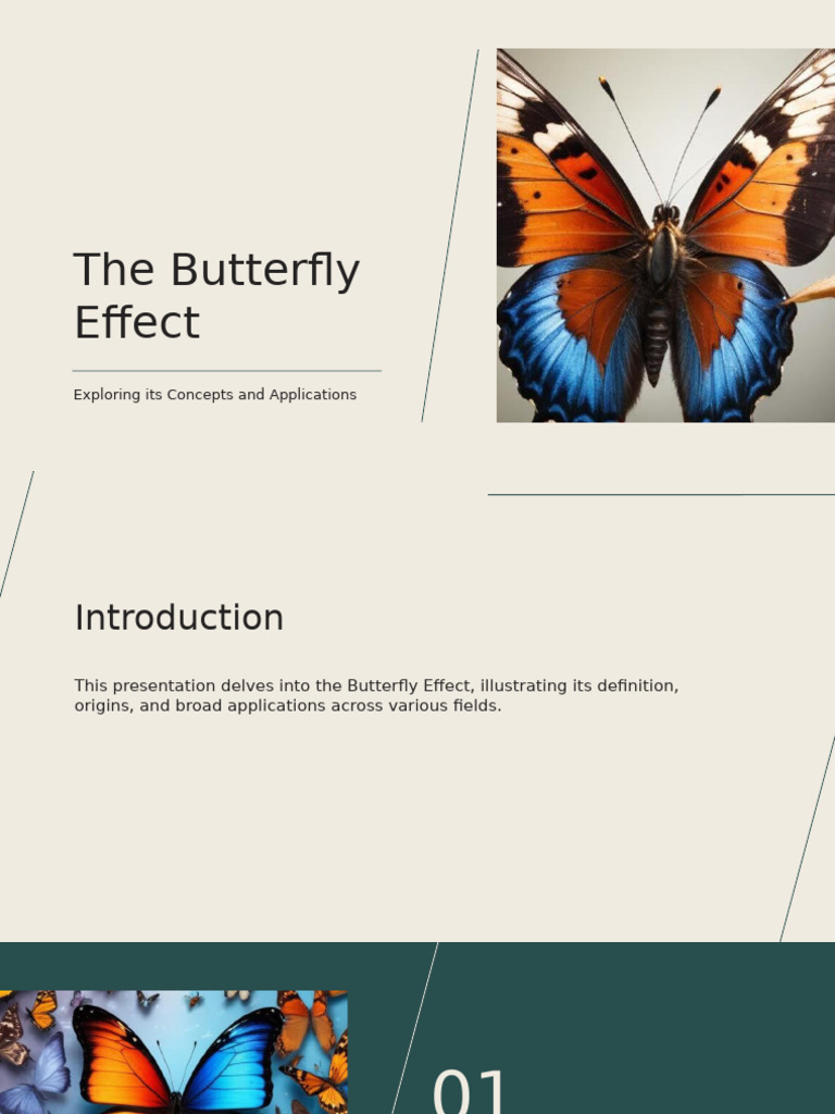 The Butterfly Effect | PDF | Chaos Theory