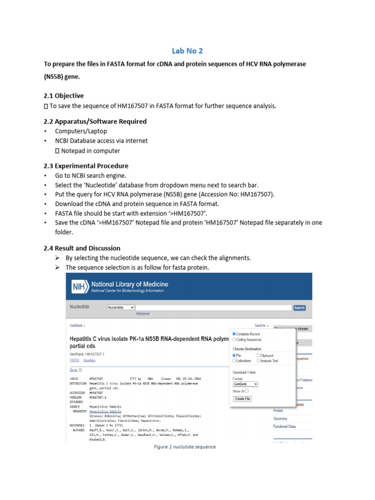 FASTA Format for HCV NS5B Sequences | PDF | Nucleic Acid Sequence ...