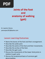 Foot Movements: Eversion, Inversion, and More | PDF | Foot | Human Leg