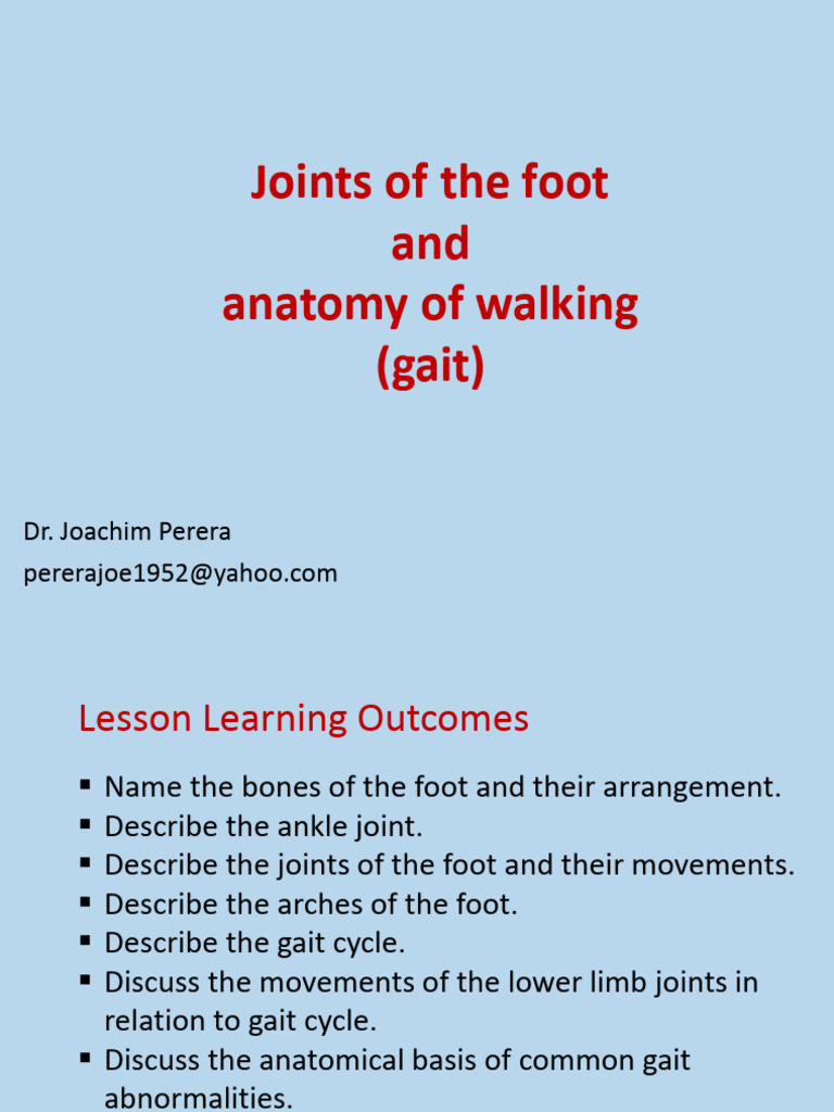 Anatomy and Gait of the Foot | PDF | Foot | Ankle