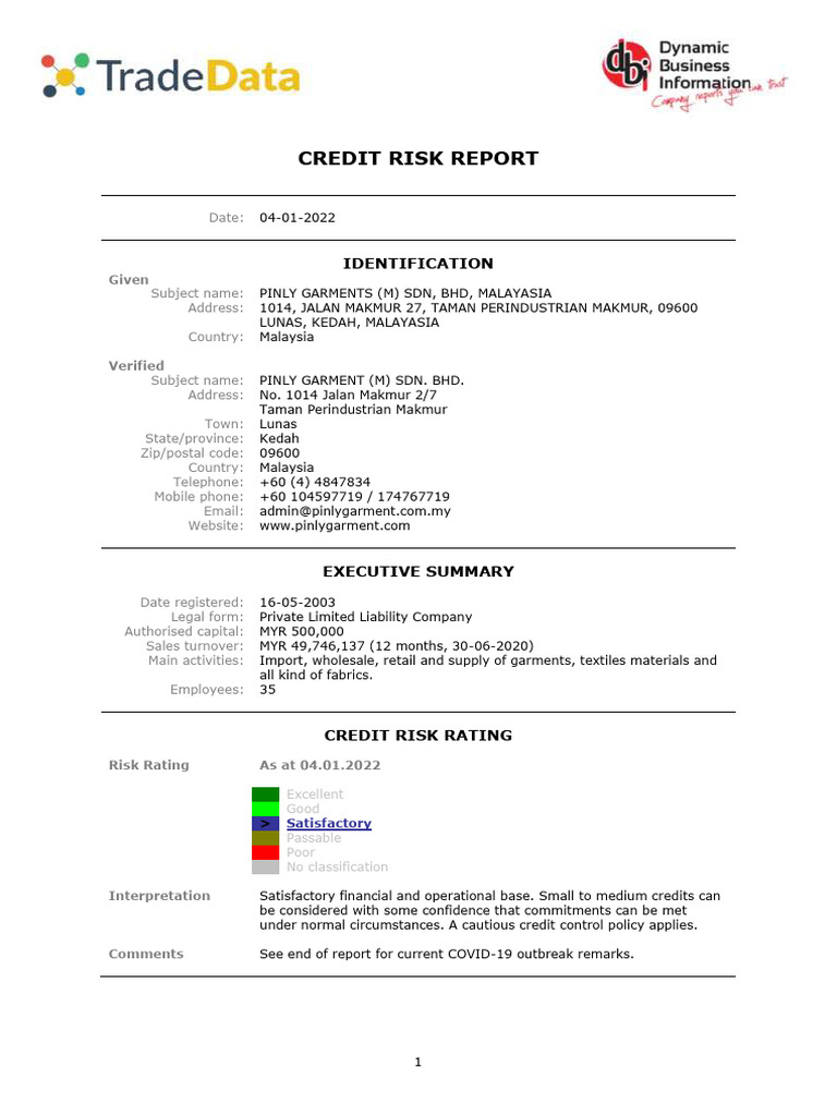 Credit Risk Report for Pinly Garments | PDF | Subsidy | Business