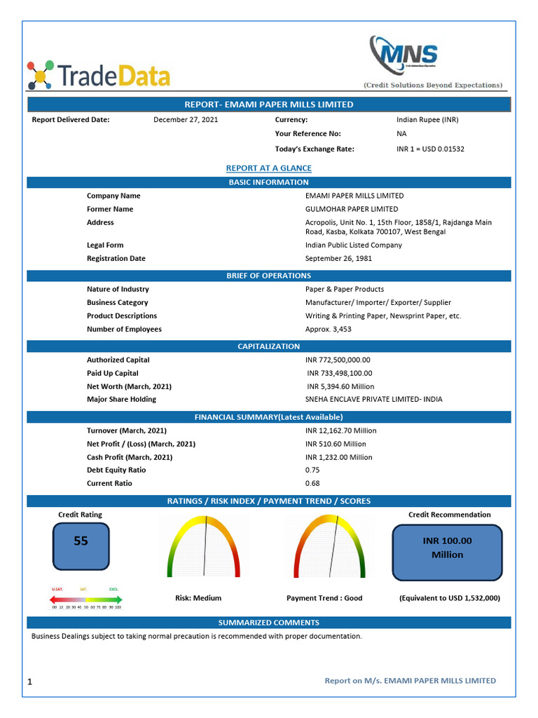 EMAMI Paper Mills Company Report | PDF | Stock Exchange | Business