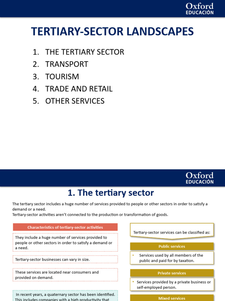 Overview of Tertiary Sector Activities | PDF | Tourism | Retail