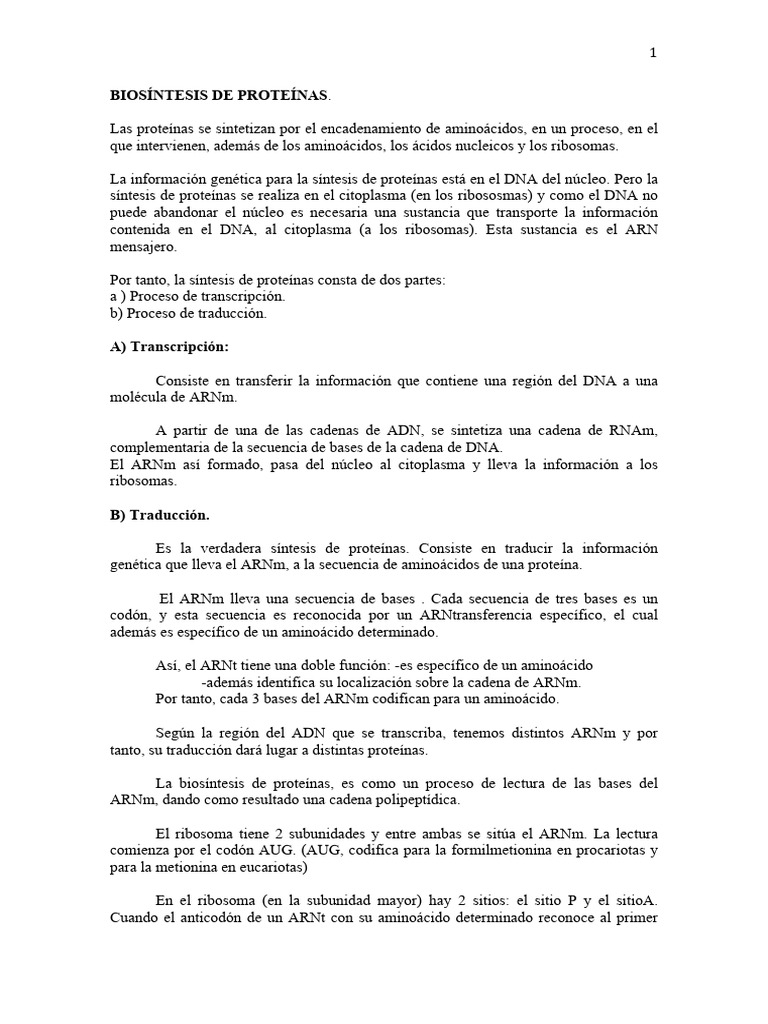 Ejercicios Ev. Tema 1 | PDF | Traducción (biología) | Mitosis