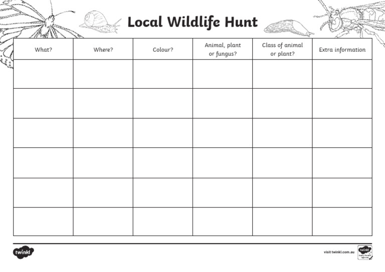 Local Wildlife Hunt Worksheet | PDF