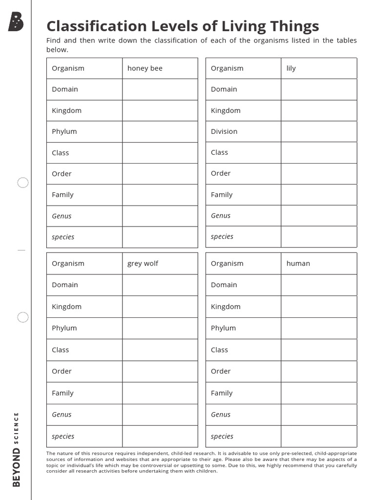 Classification Levels of Living Things Worksheet | PDF