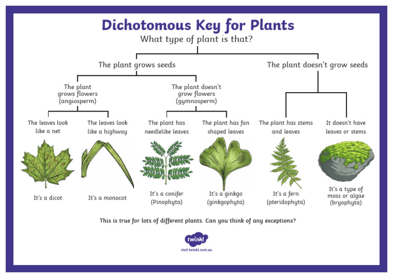 au-sc-2444-dichotomous-key-for-plants_ver_5 | PDF