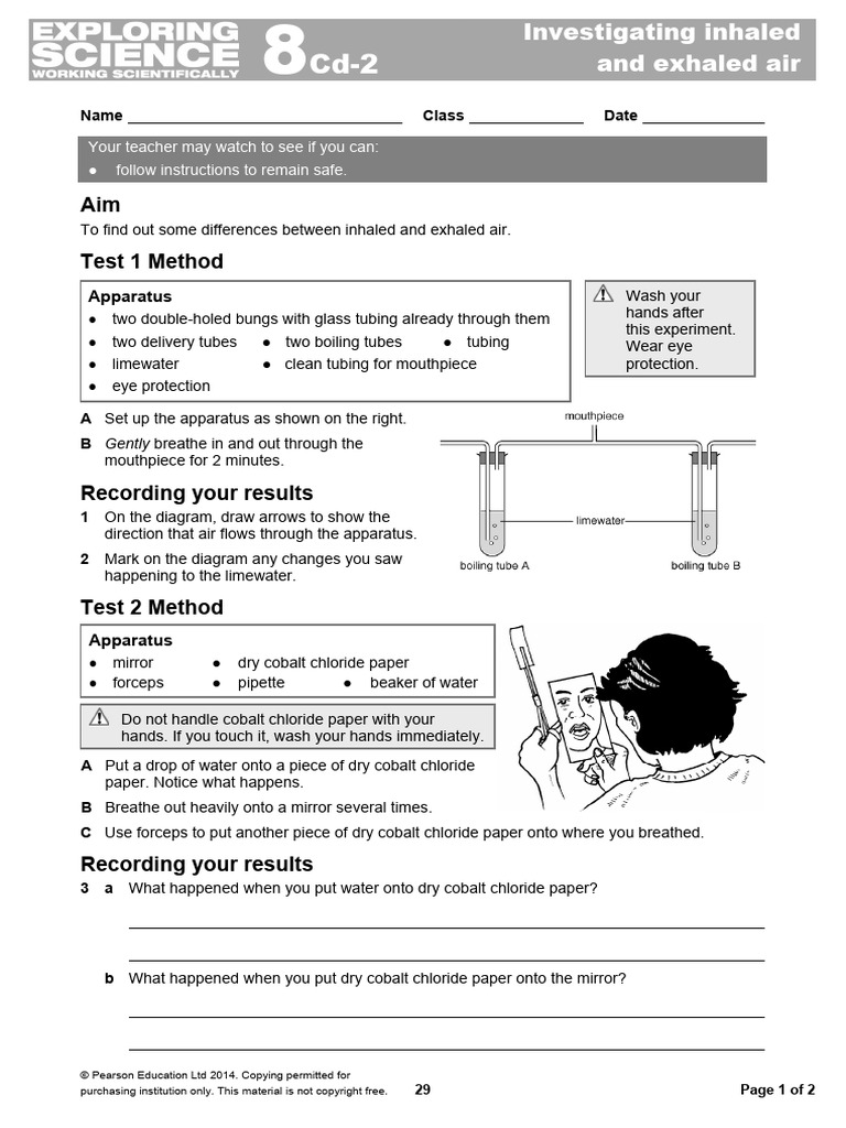 Differences Between Inhaled and Exhaled Air | PDF | Breathing | Exhalation