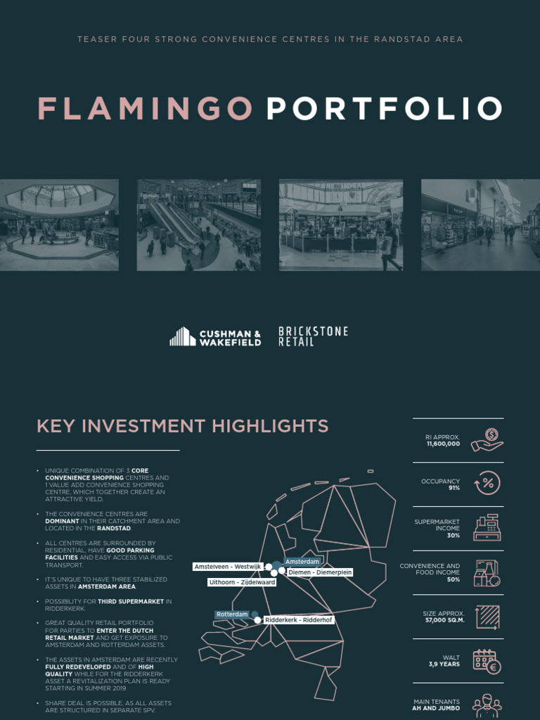 Teaser Flamingo portfolio | PDF | Food Retailers