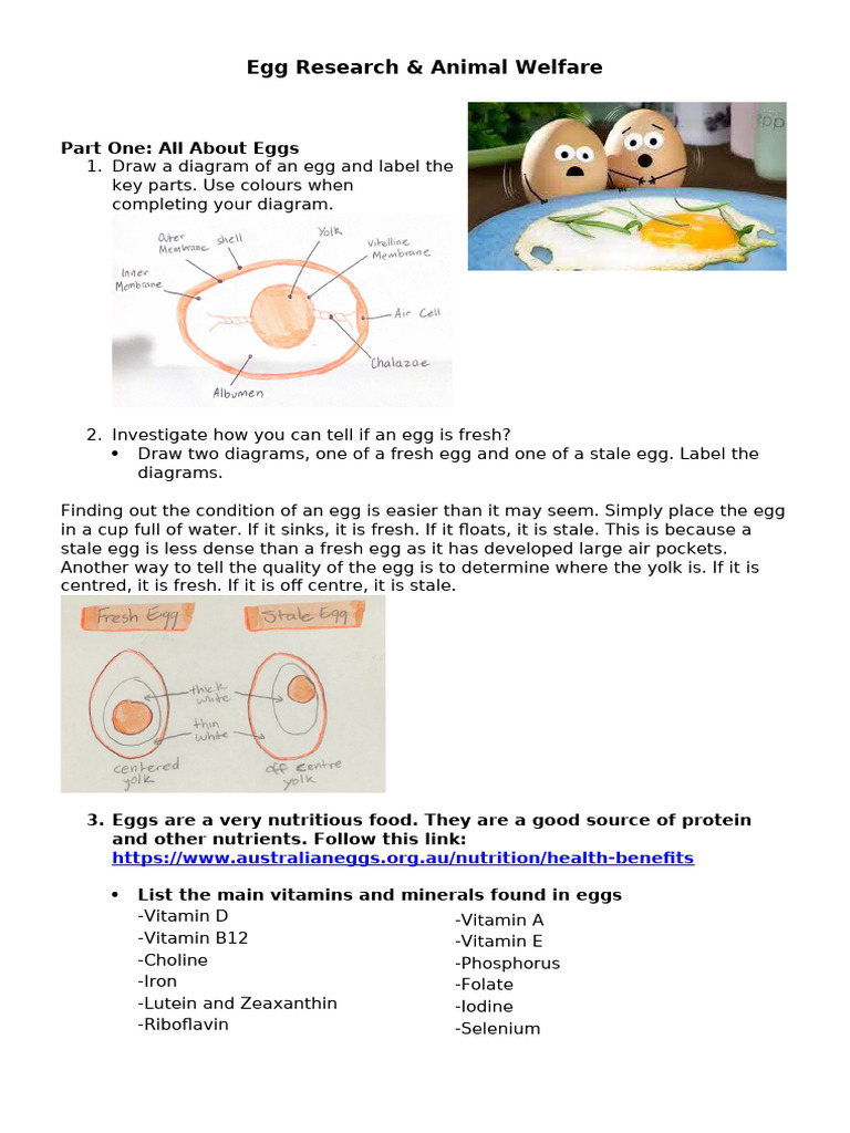 Egg Research and Animal Welfare | PDF | Chicken | Agriculture