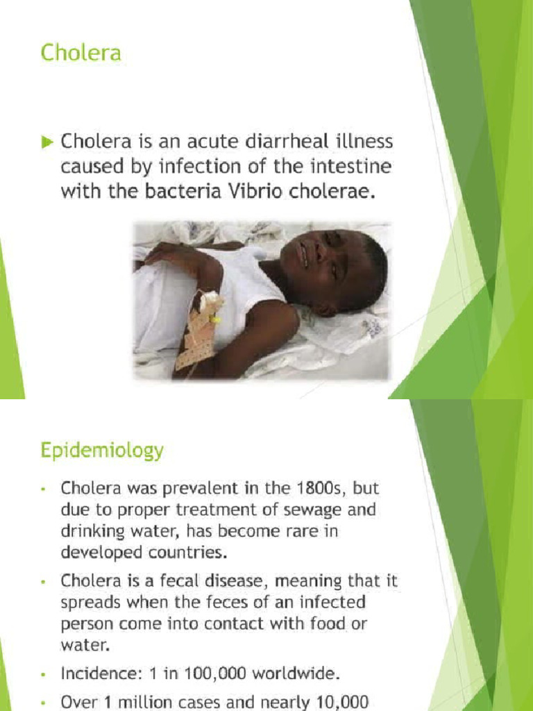 cholera | PDF | Cholera | Diarrhea