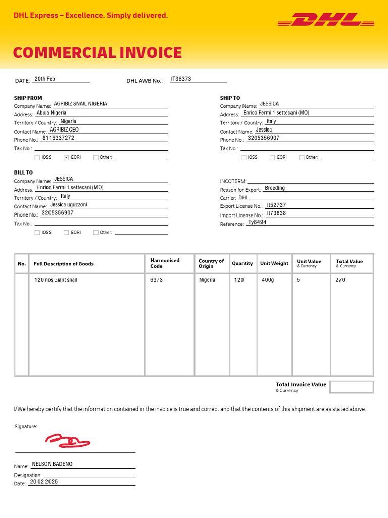 Commercial Invoice for DHL Shipment | PDF | International Business ...