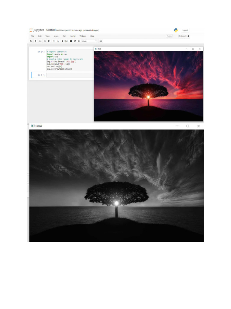 Assignment 1 CV | PDF
