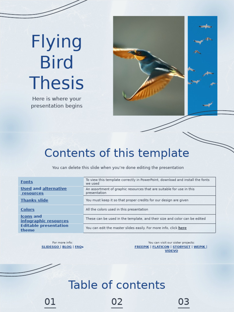 Bird Presentation Template Guide | PDF | Planets | Planets In Astrology