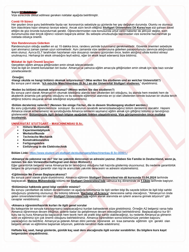 Vize Oryantasyonu | PDF