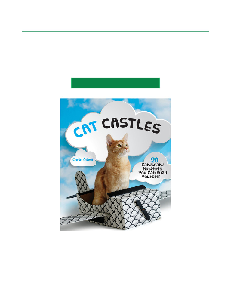 Build 20 DIY Cardboard Cat Castles | PDF