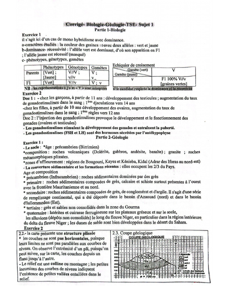 BK - Bac SVT Tse Corrige 2024 | PDF