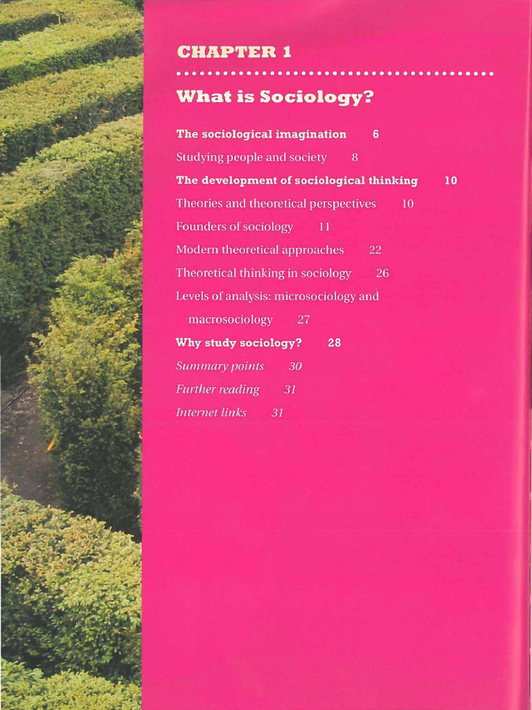 Introduction To Sociology Anthony Giddens | PDF | Émile Durkheim | Sociology