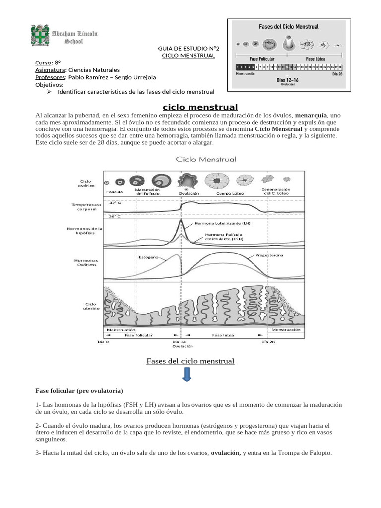 8° Ciclo Menstrual | PDF | Ciclo menstrual | Ovario