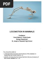 S.3 Bio Notes Locomotion | PDF | Vertebra | Vertebral Column