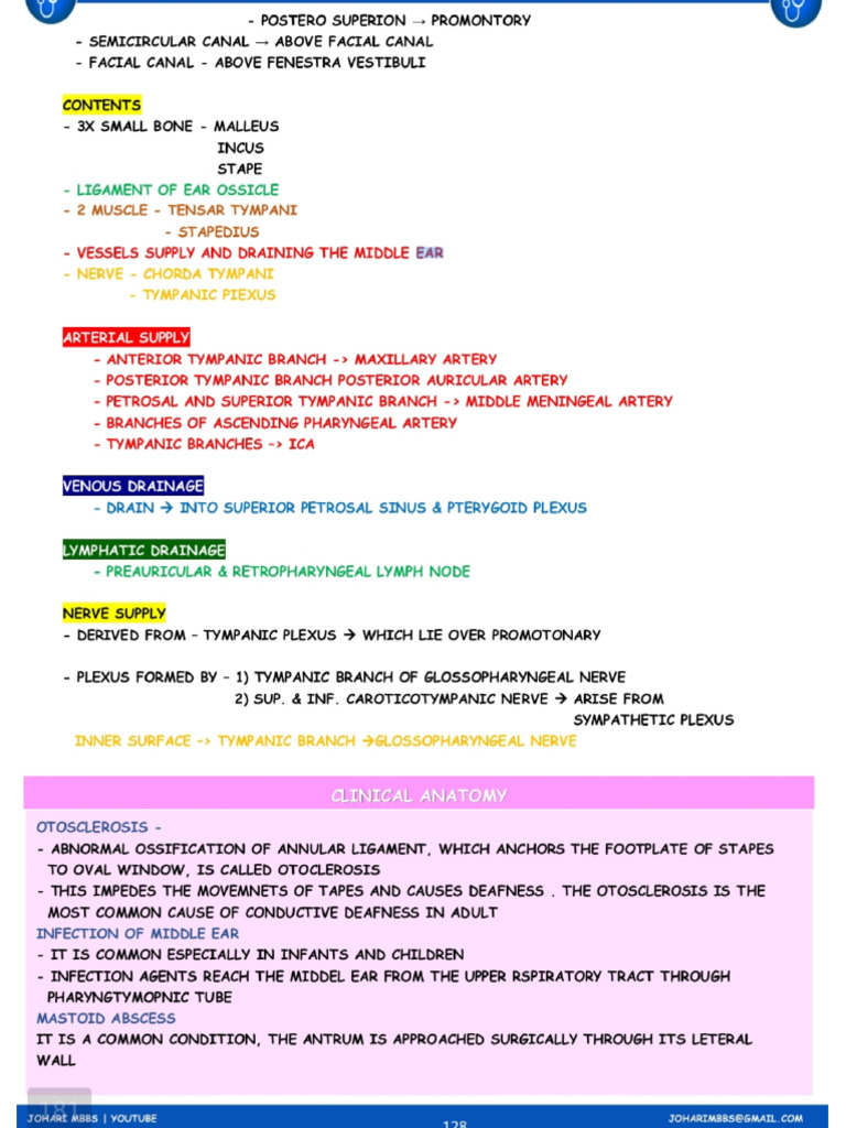 Sensory Organs | PDF