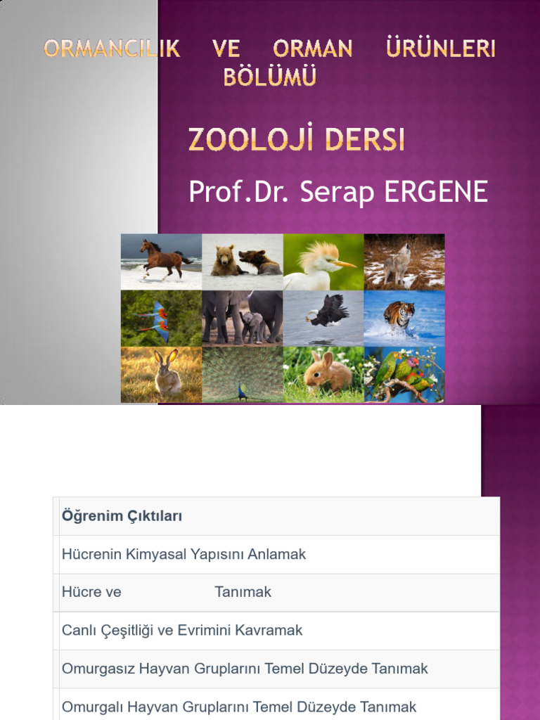 ORM zooloji1 | PDF