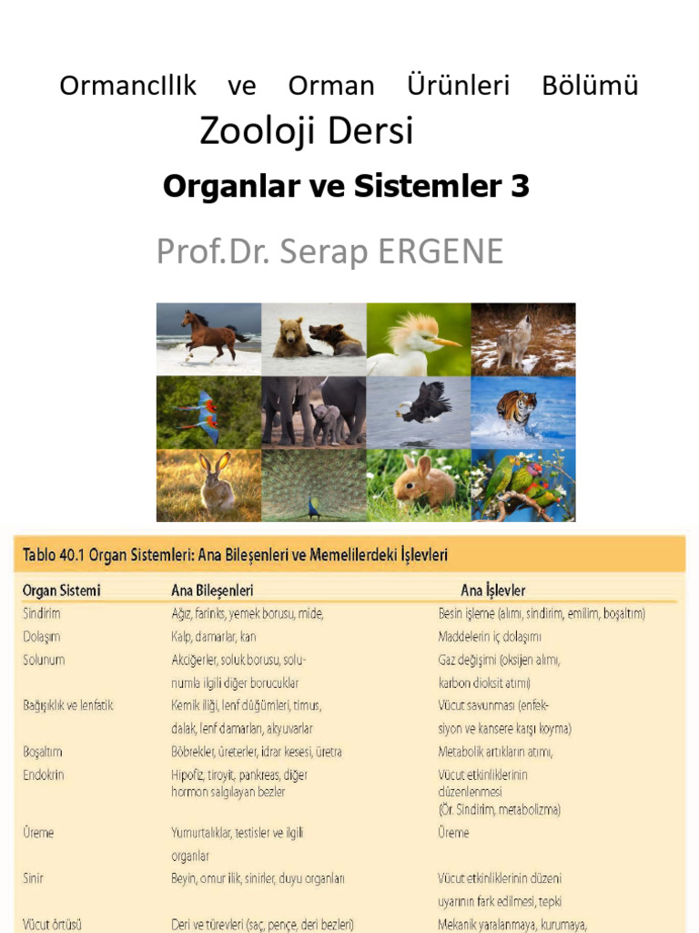 ORM-102 0rgan 3 SN | PDF