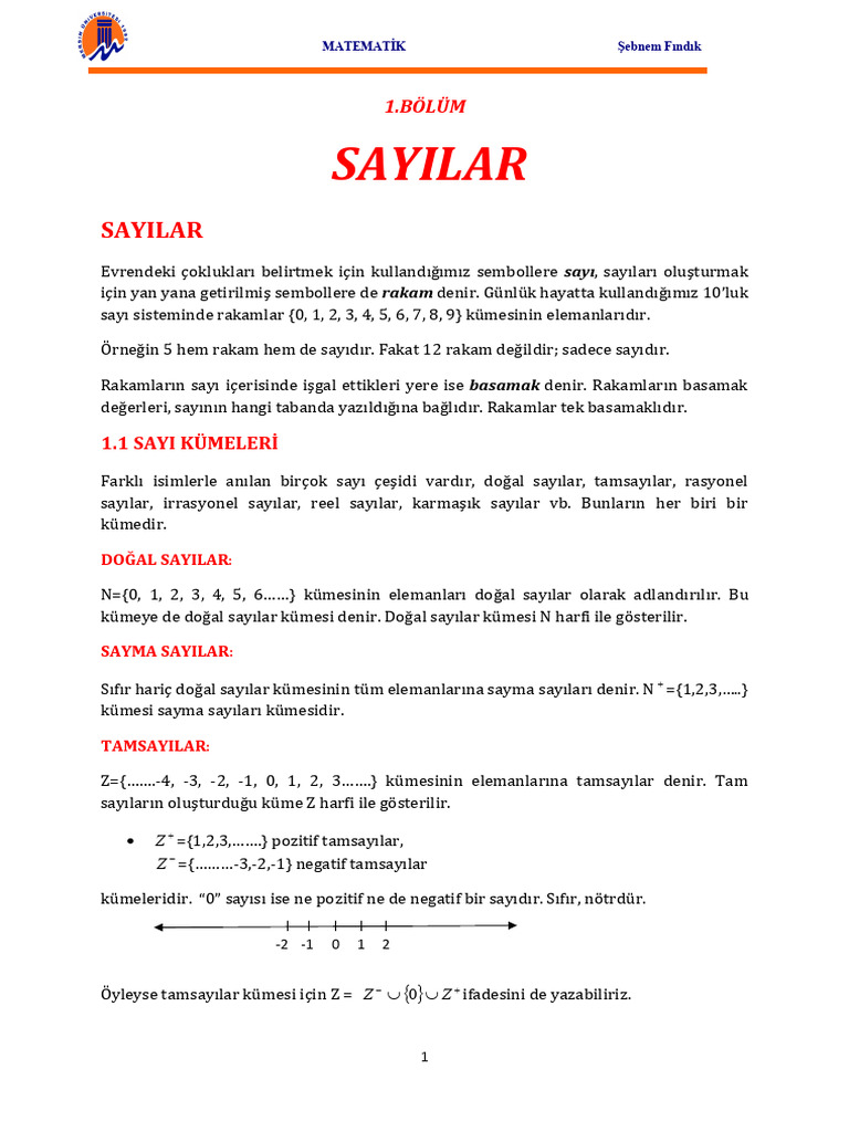 1-sayilar | PDF