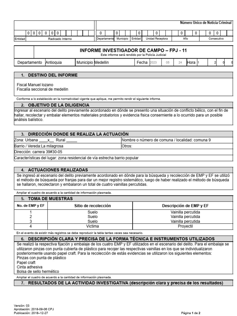 FPJ 11 Informe Investigador de Campo V 0 | PDF