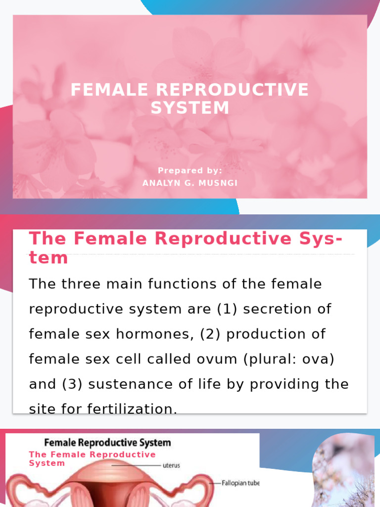 Lecture 3 QTR 3 - Female Reproductive System | PDF | Ovary ...