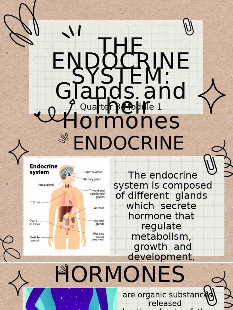 Lecture 1 QTR 3 Endocrine System | PDF | Pancreas | Hyperglycemia