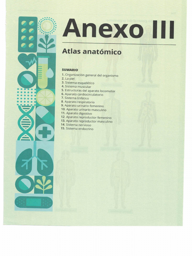 Anexo III. Atlas Anatómico | PDF