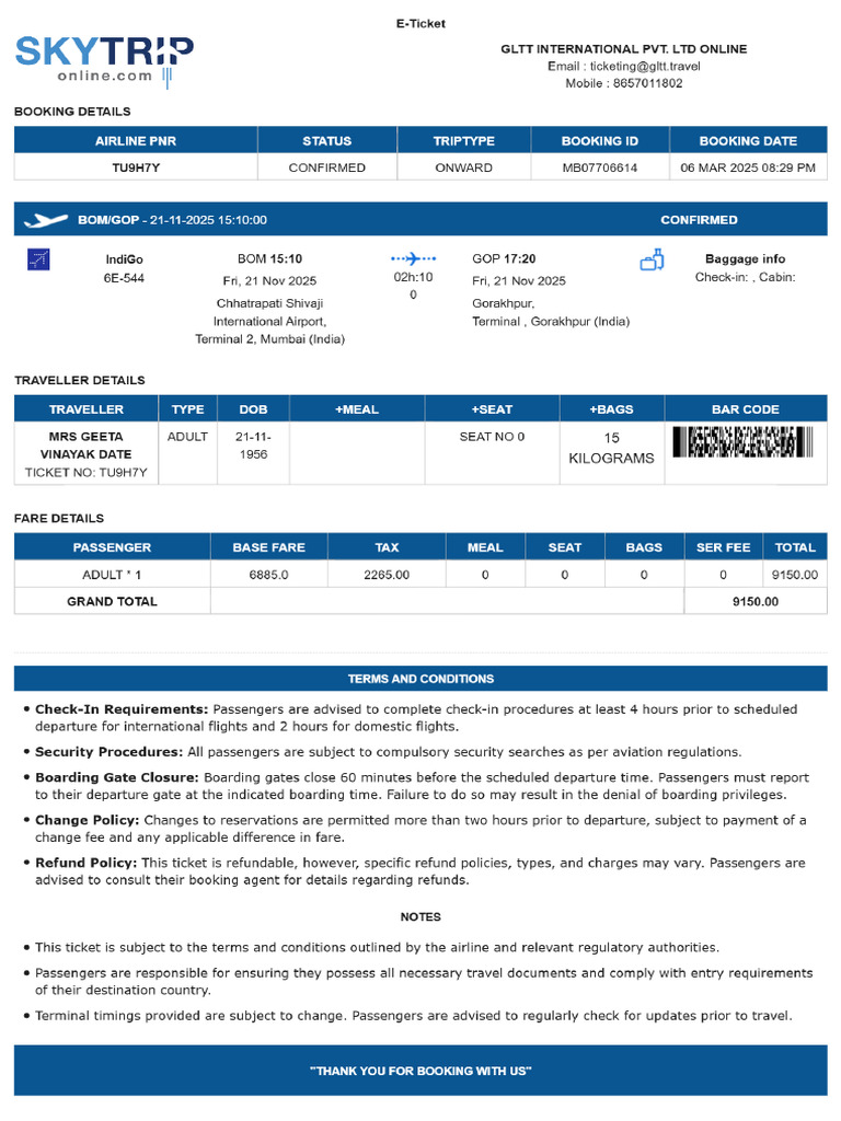 E Ticket | PDF