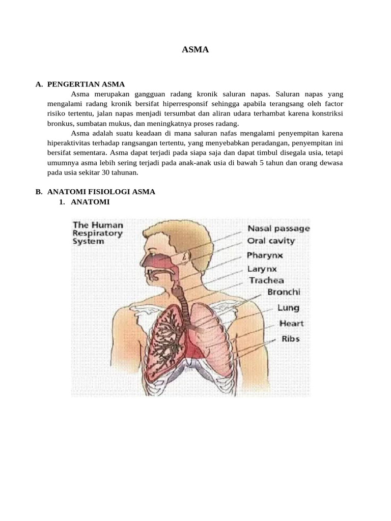 Kelompok 1 ASMA S1 Kep Bu Puji | PDF